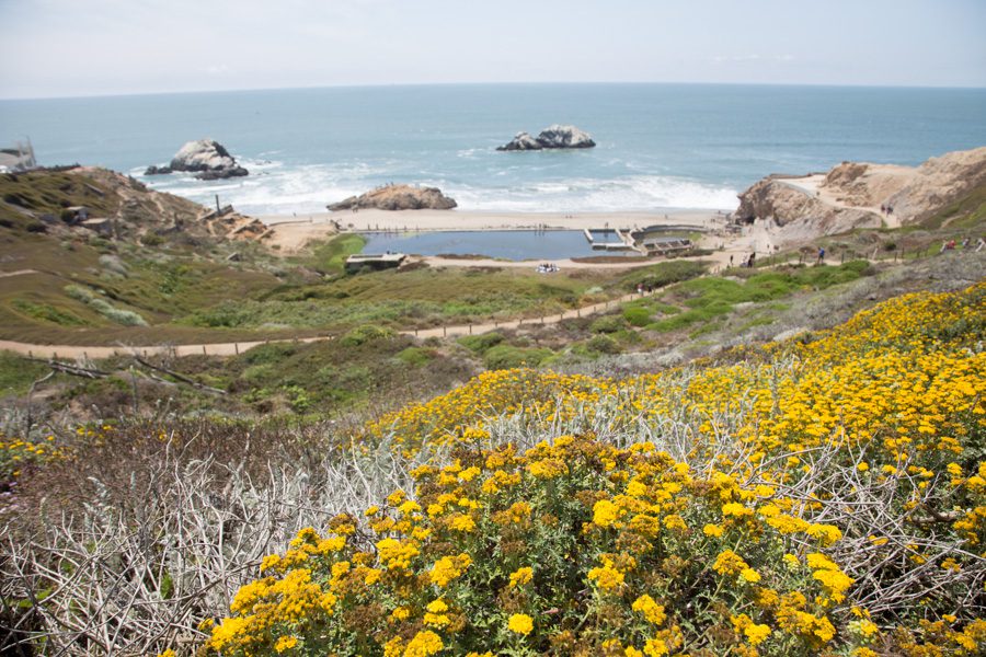 San Francisco: Outer Sunset Guide - Hither & Thither