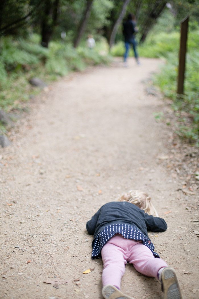 Happy Anniversary, Hither & Thither! - Hither & Thither