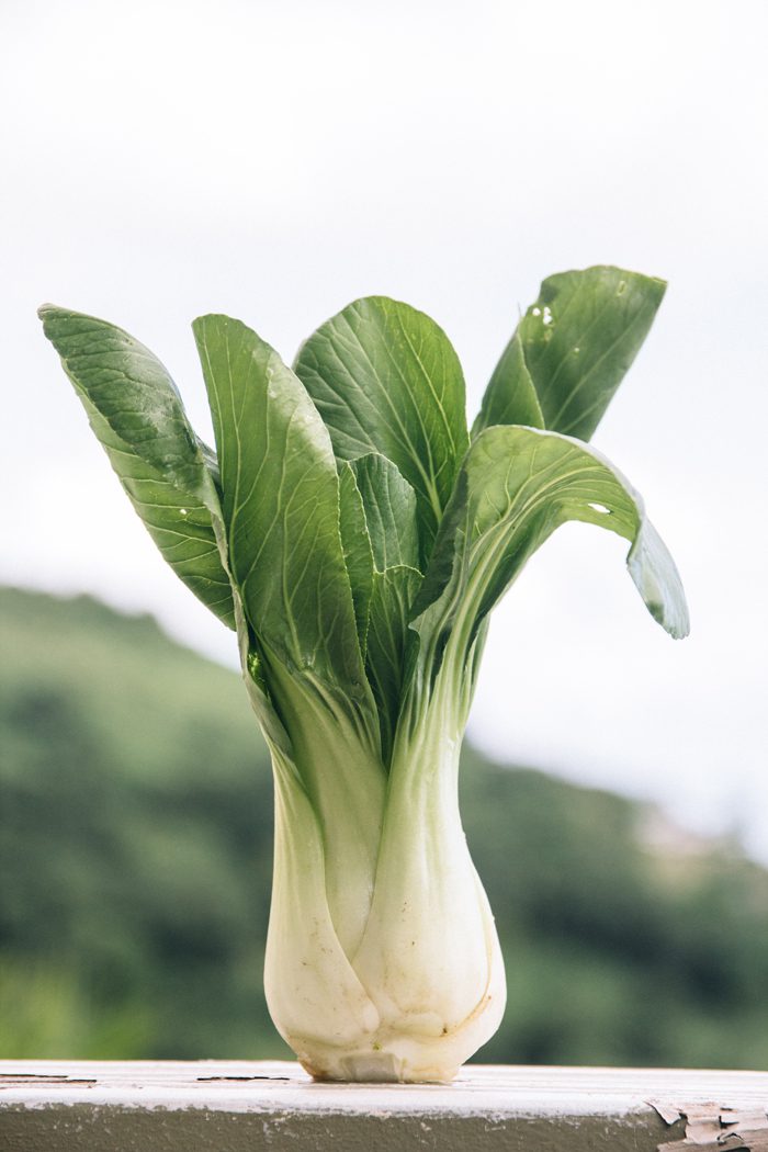 In Season: Shoyu Chicken and Bok Choy - Hither & Thither