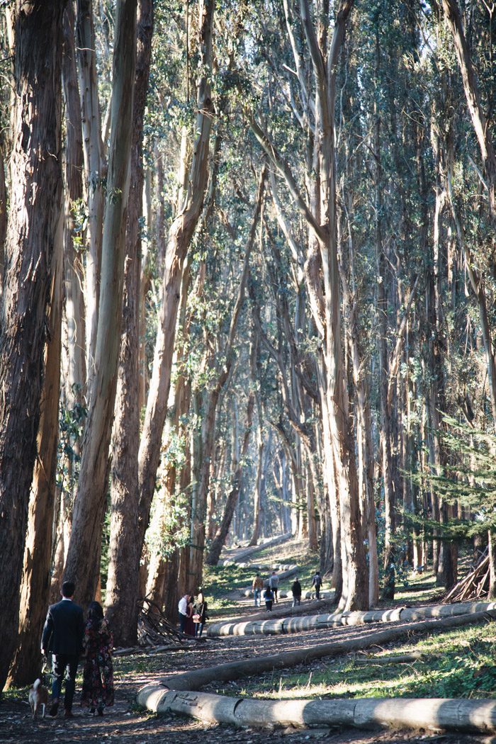 San Francisco with Kids: The Presidio - Hither & Thither