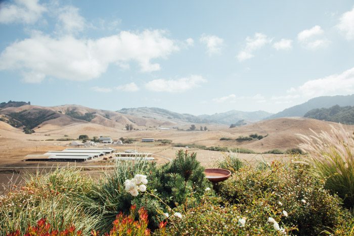 On the Cheese and Wine Trail in Sonoma and Marin, California - Hither ...